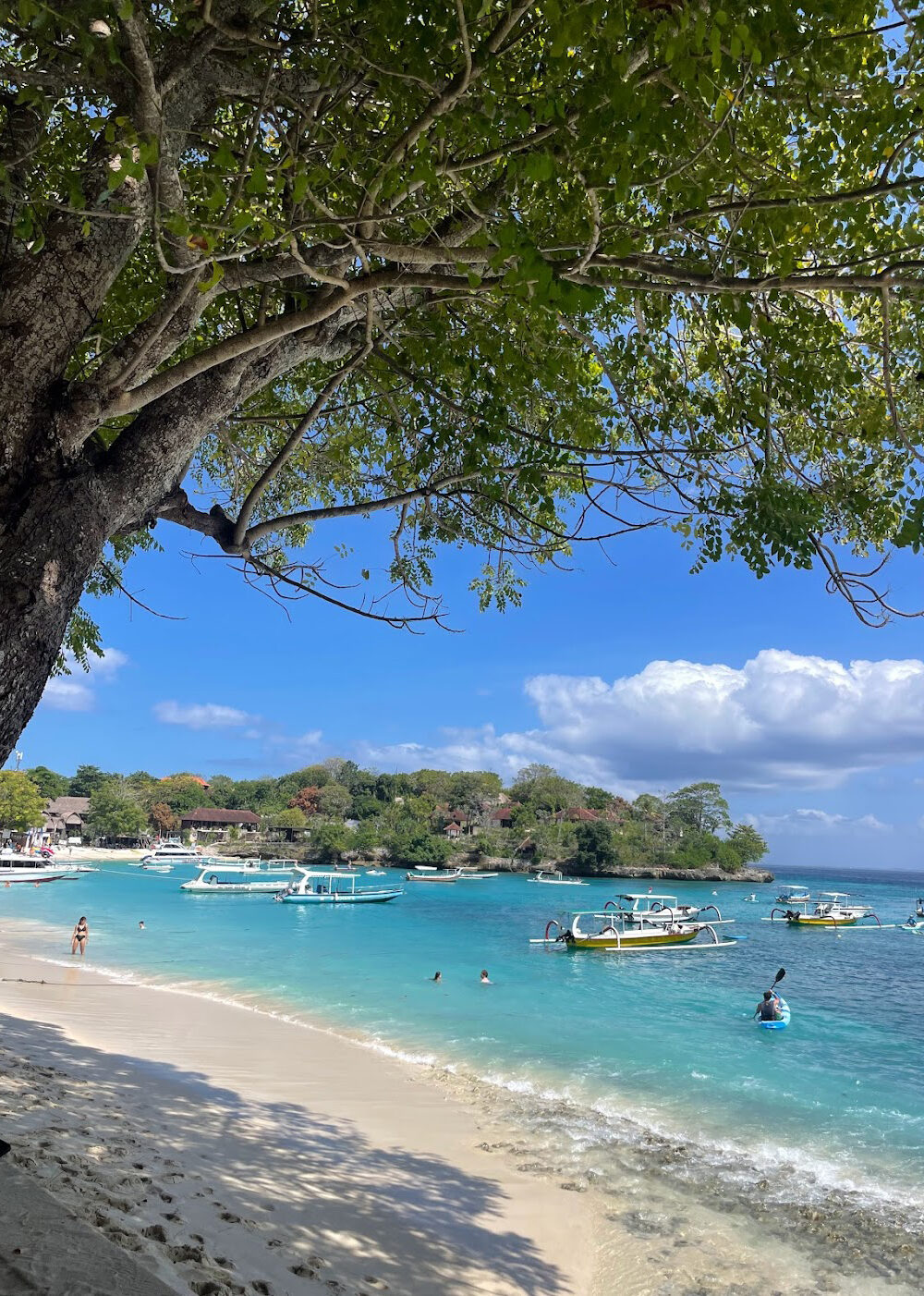 Desi Love Island Bali - Dose Of Travel